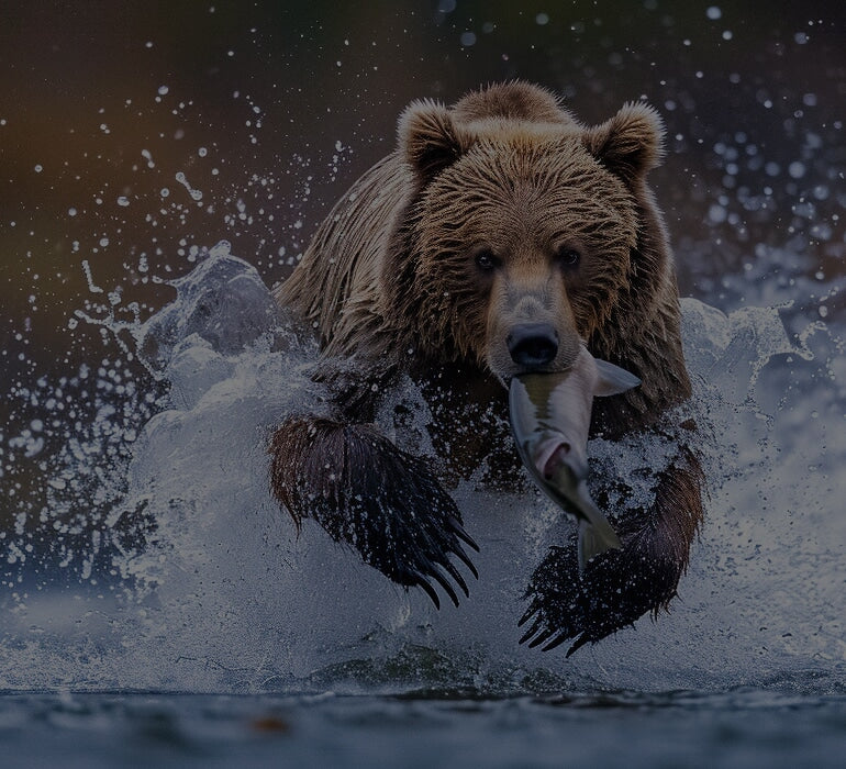 New Product – Shelf Reliance